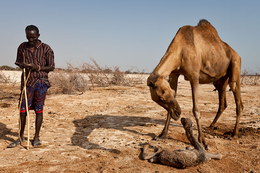 Contact Gabra tribe Kenya